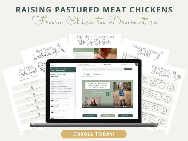 Raising Pastured Meat Chickens Landing Page - The Homesteading RD ...